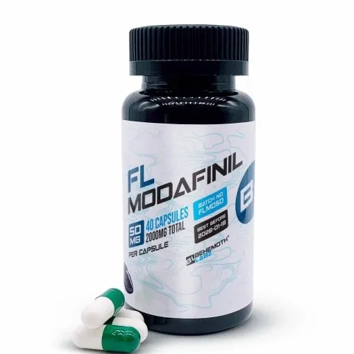 How We Work | BEHEMOTH LABZ